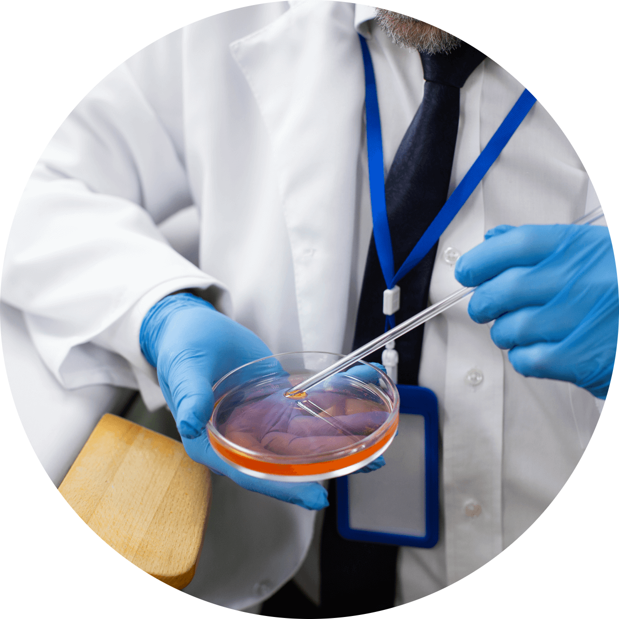 Wound Expert, Specialized Care for Faster, Safer Healing